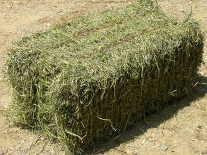 Продам сено в тюках