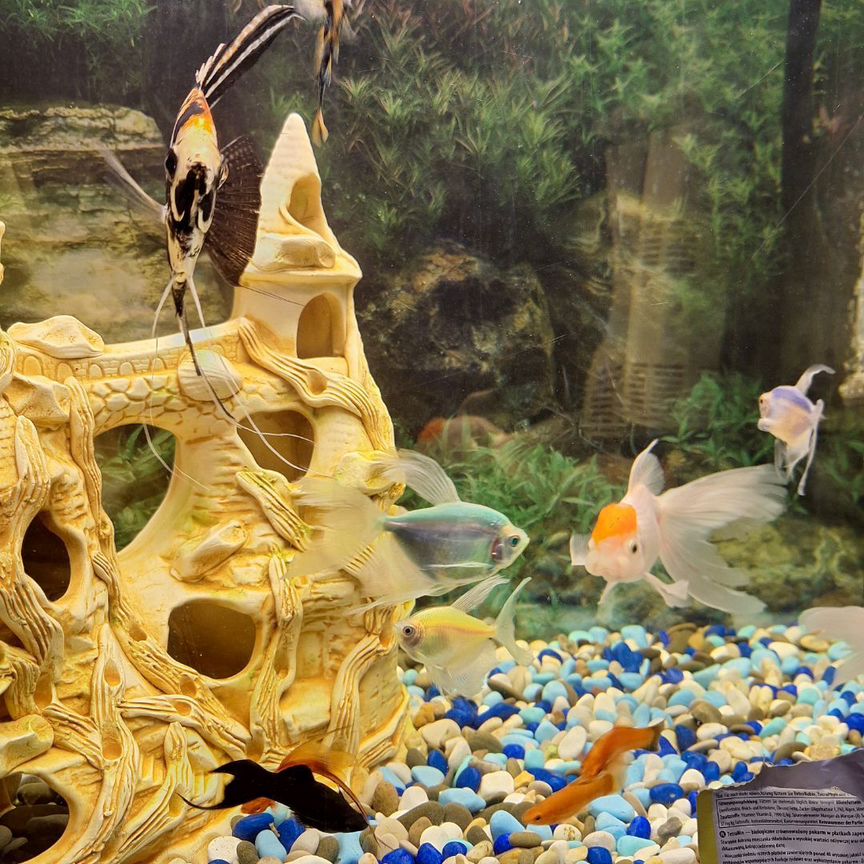Украшение для аквариума