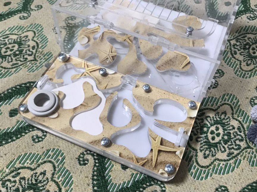 Муравьиная ферма бу