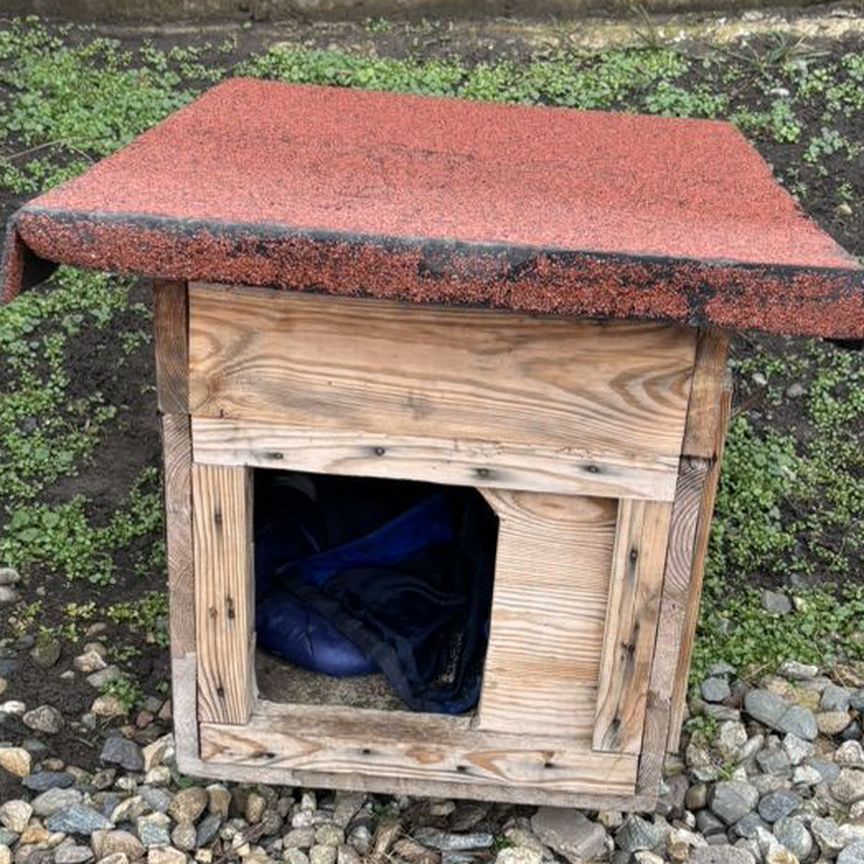 Собачья будка