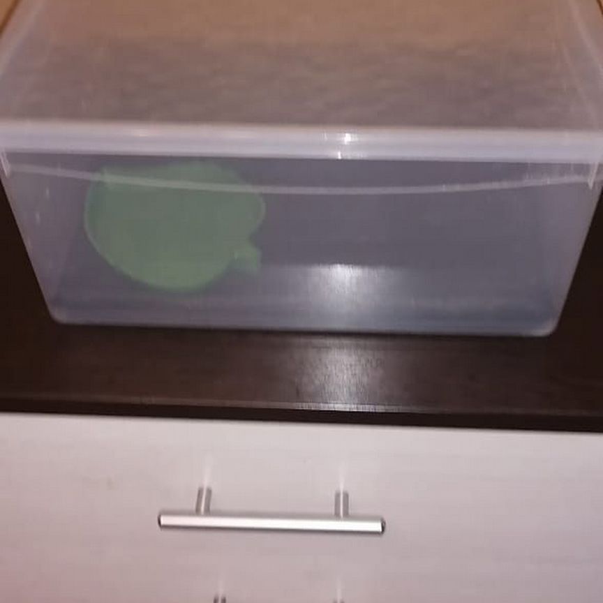 Улиткарий- террариум для улиток 18 литров