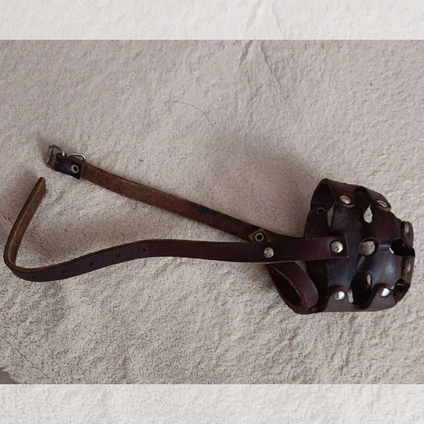 Намордник для собак