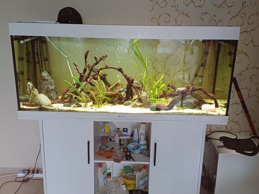 Аквариум на 450 литров