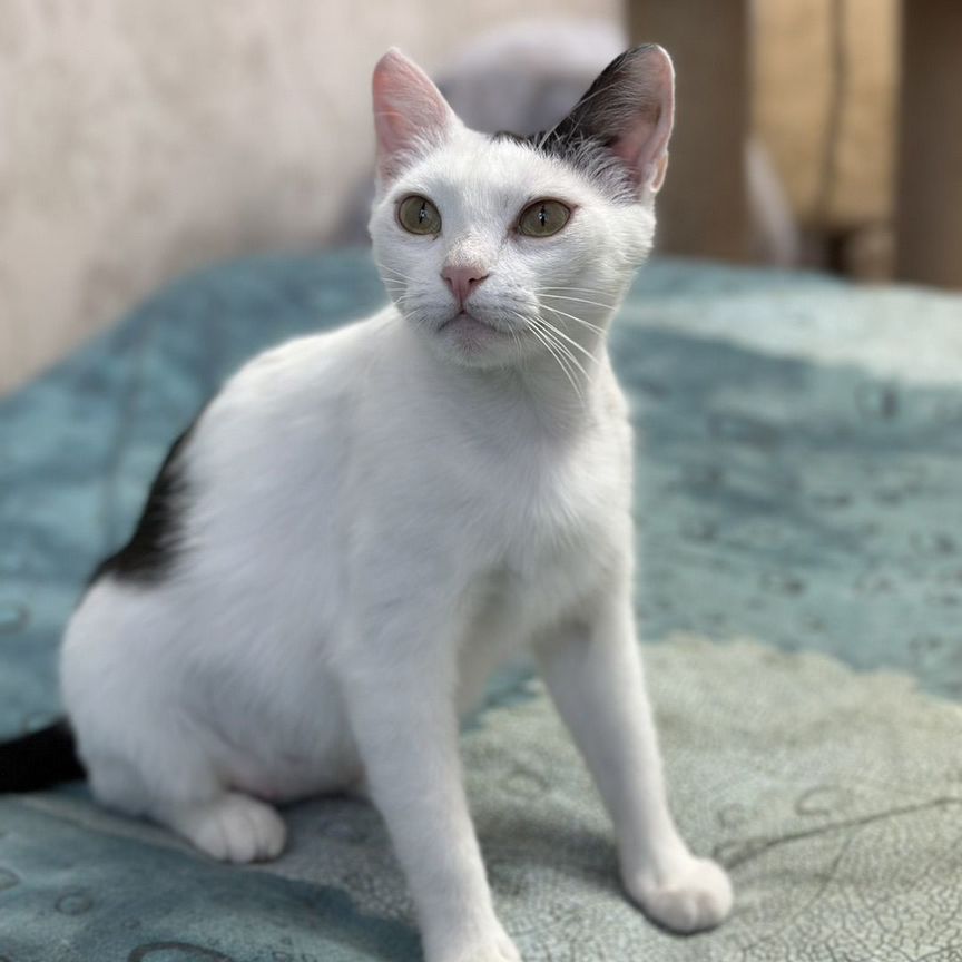 Люся спасена с зеленой стоянки