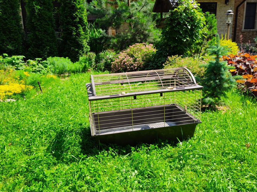 Клетки и домик