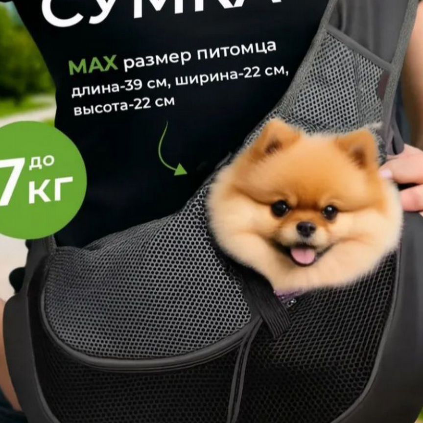 Сумка переноска для маленьких собак и кошек