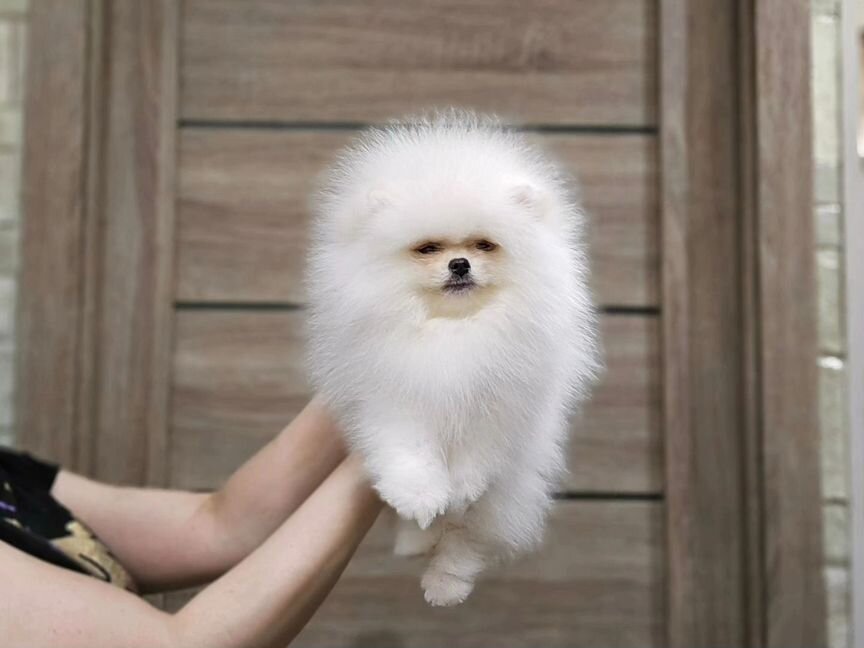 Красивый мальчик 3.5 мес