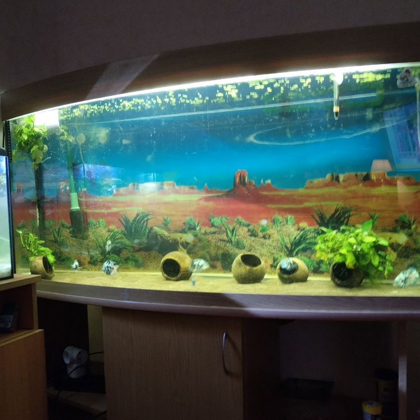 Аквариум с тумбой и рыбой