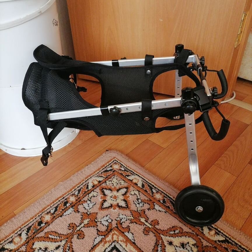 Коляска для собачки инвалида