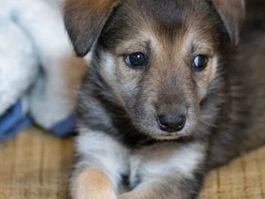 Очаровашка Грейс ждёт своих мам-пап