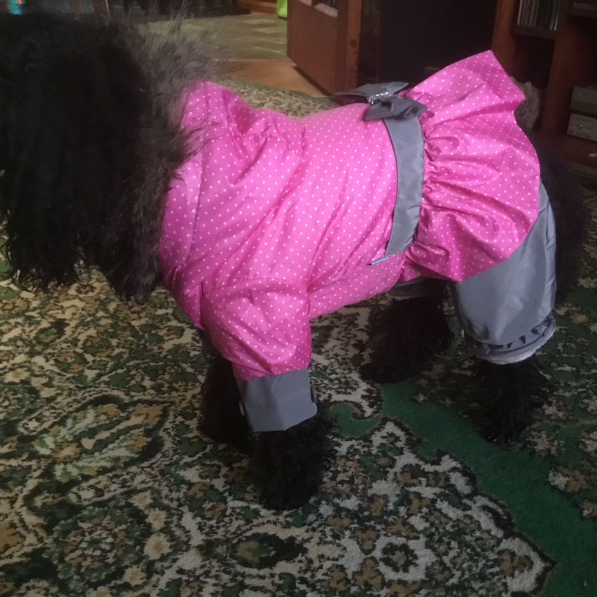 Комбинезон для средней собаки девочки