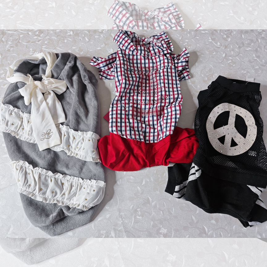 Одежда для собак мелких пород