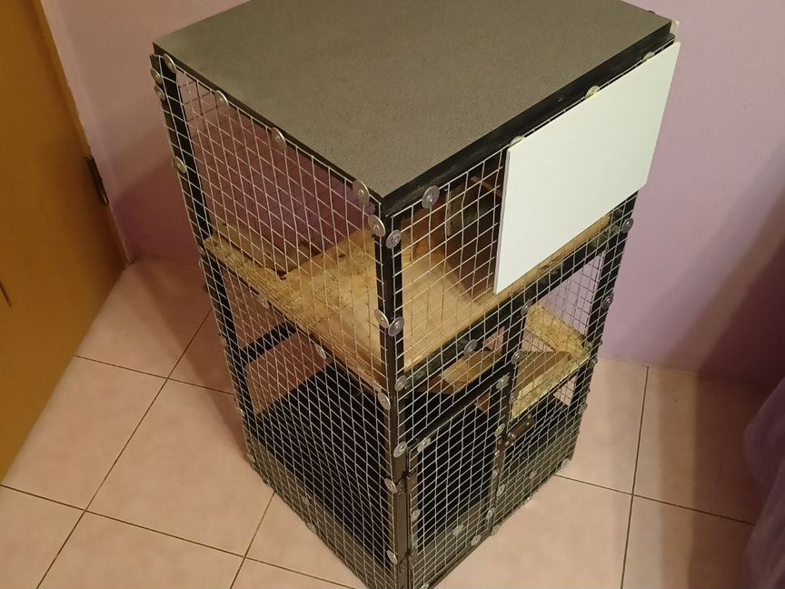 Клетка для грызунов, шиншил