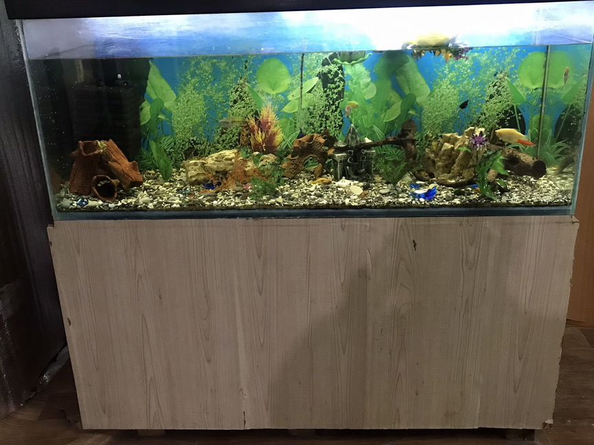 Аквариум с тумбой 480л