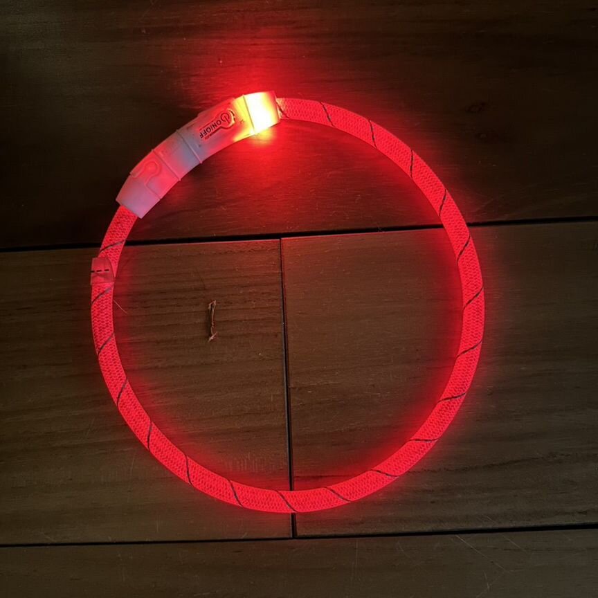 Ошейник для собак