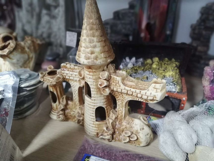 Аквариумистика(гроты, отсадники, аквариумы)