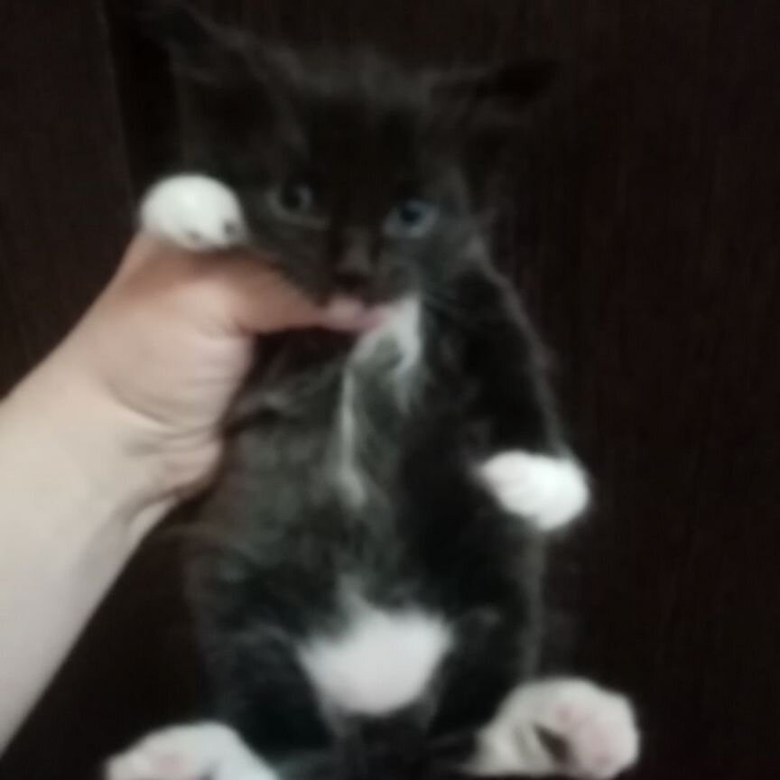 Отдам которебенка в самые добрые руки)