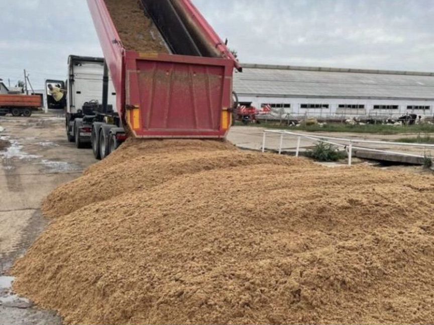 Пивная дробина оптом