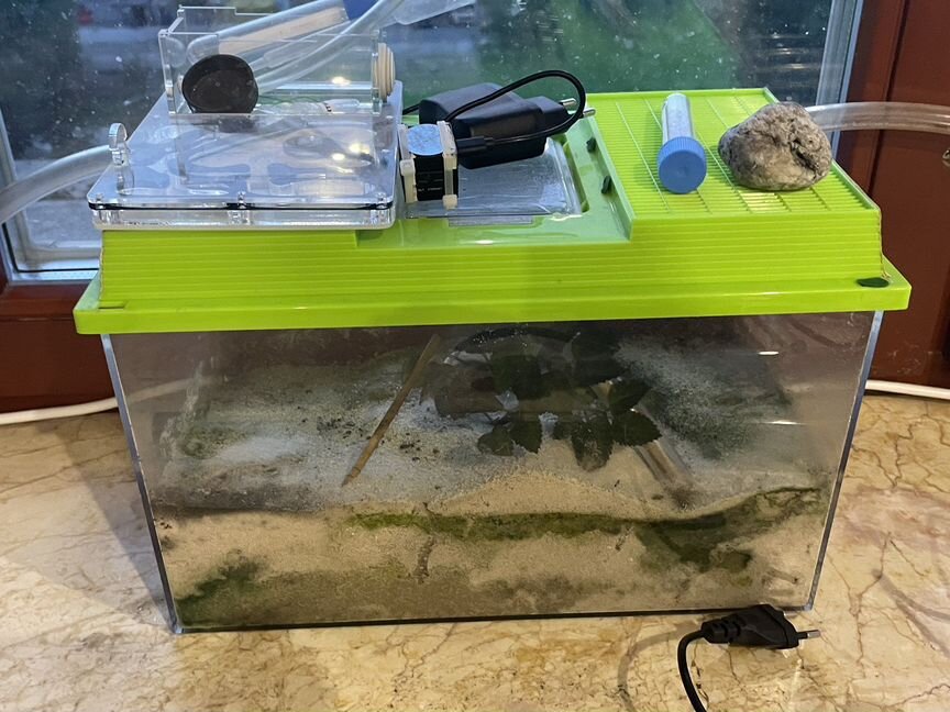 Муравейник с лабиринтом