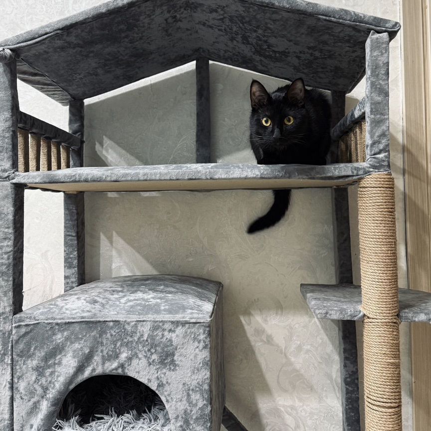 Когтеточка дом комплекс для кота кошки