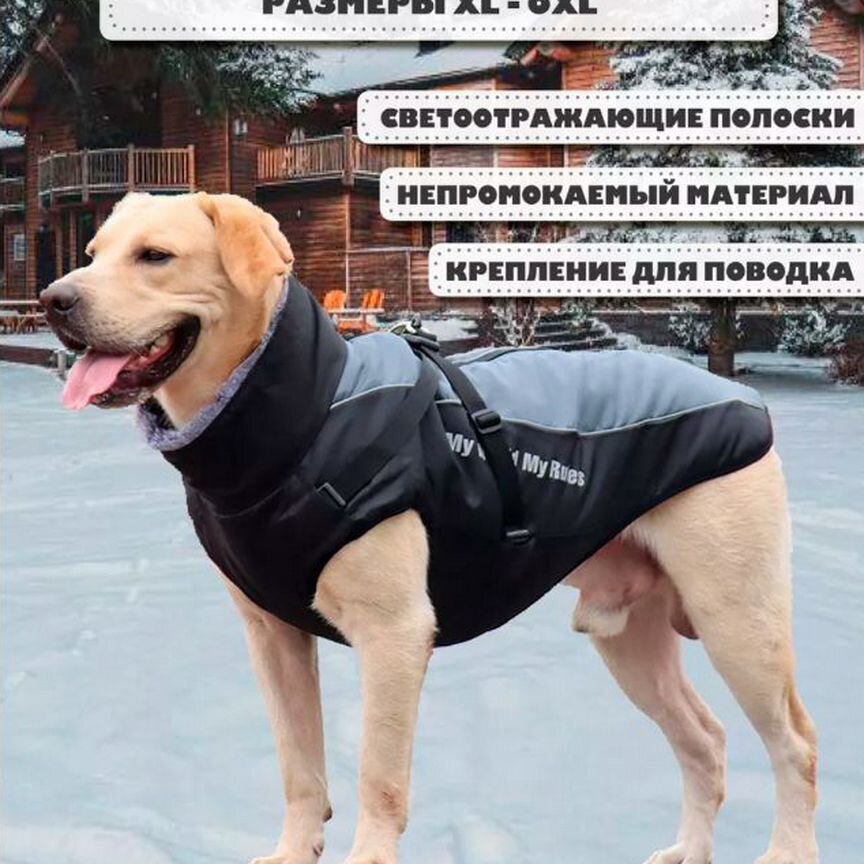 Жилет зимний для собаки б/у в хорошем состоянии