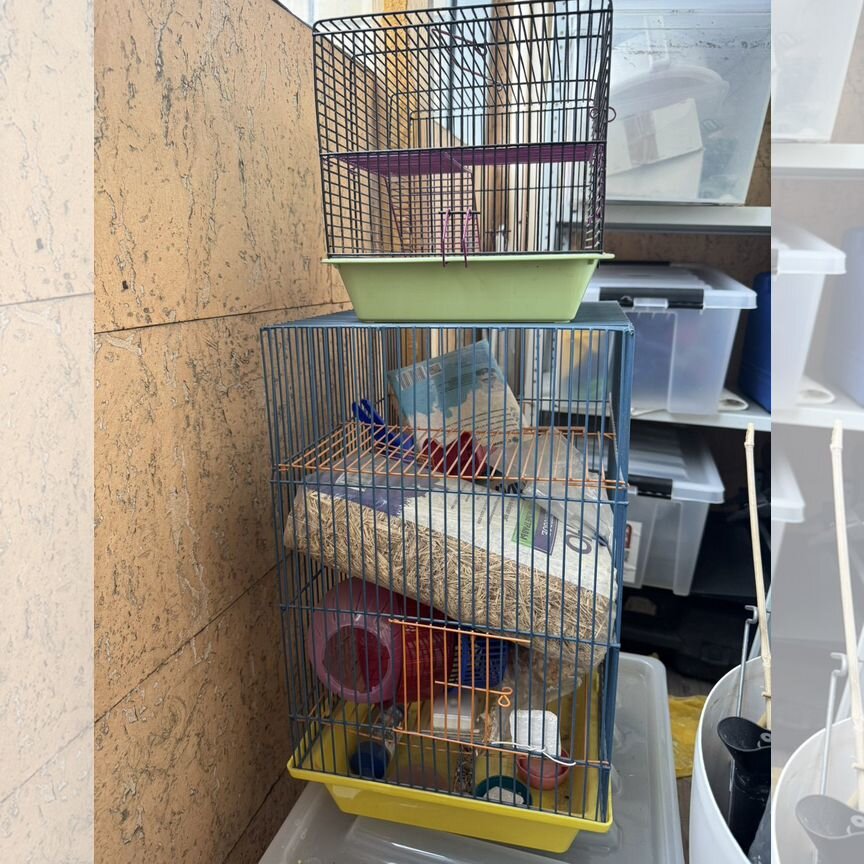 Клетка для хомяка бу