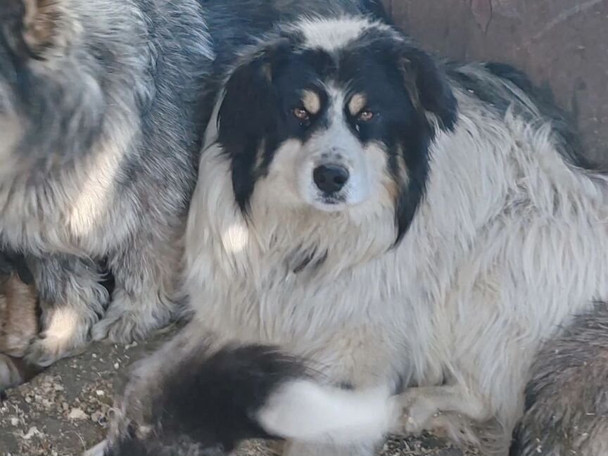 Саша ищет семью