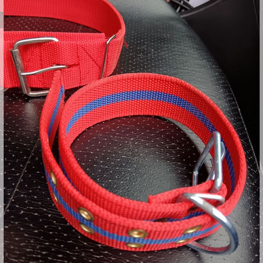 Ошейник для собак