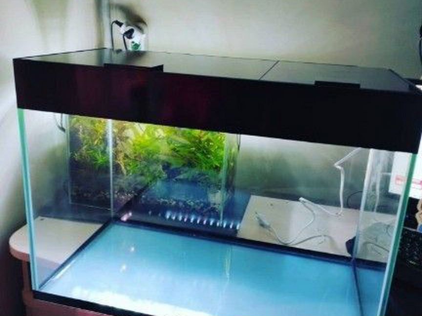 Аквариум 100л