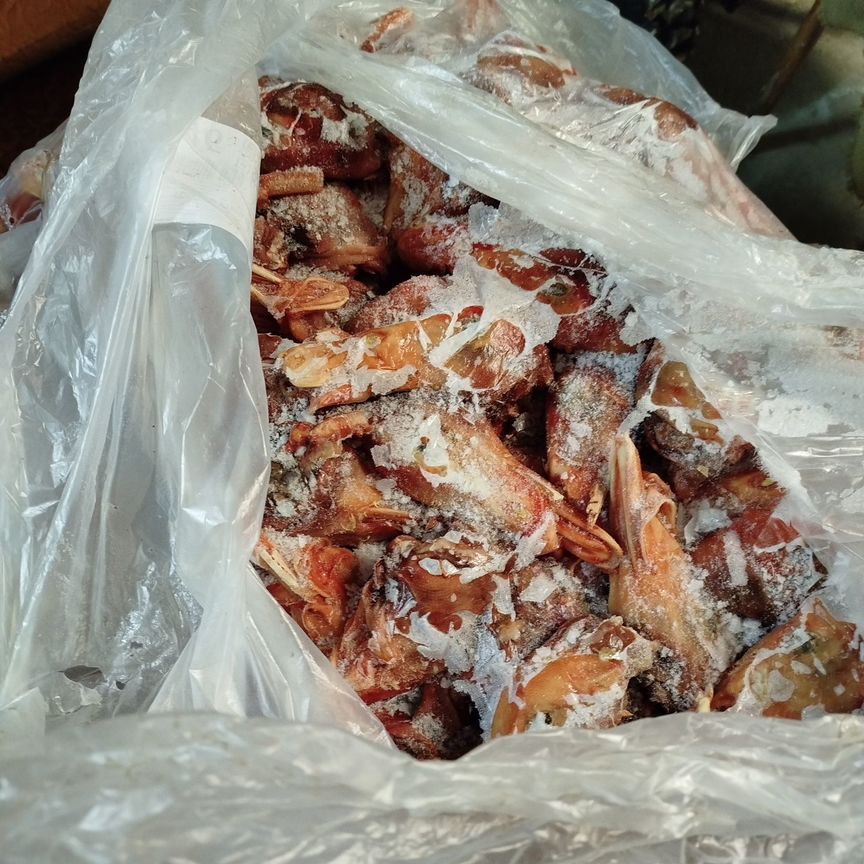 Головы утиные