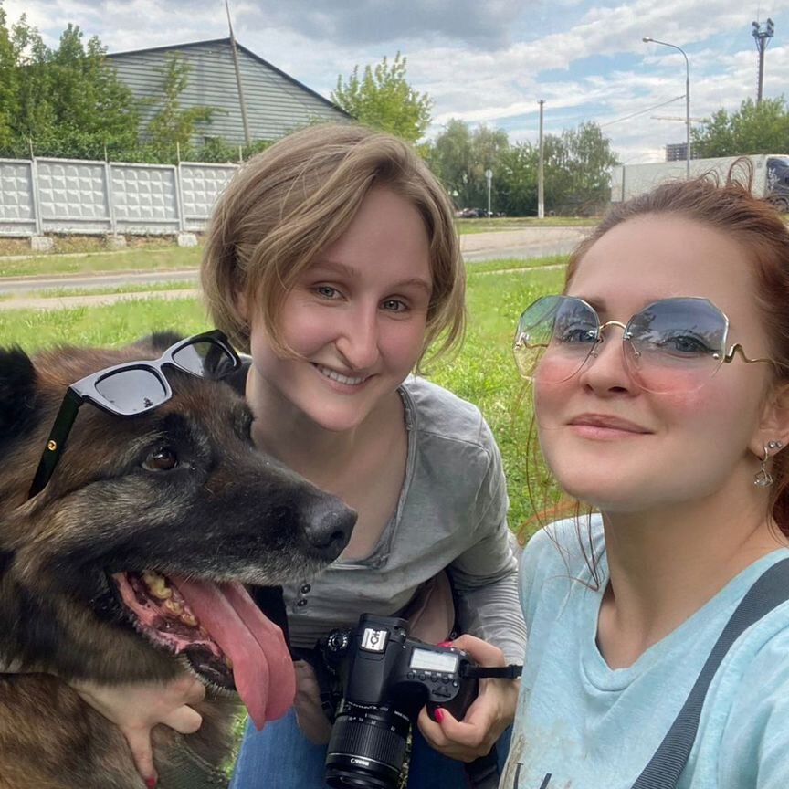 Собачки из приюта ждут Вас в гости