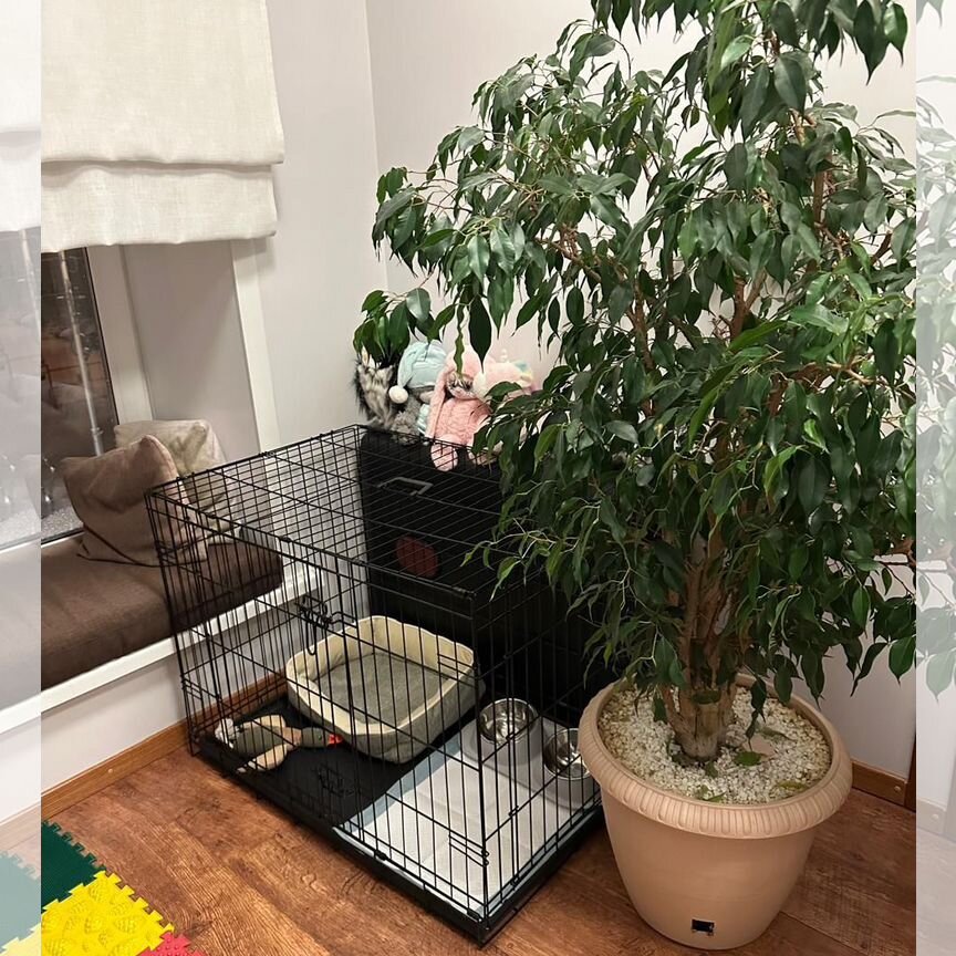 Клетка для собак