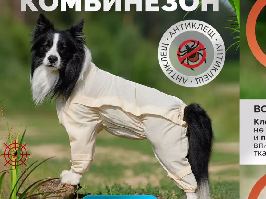 Комбинезон для собак от клещей новый