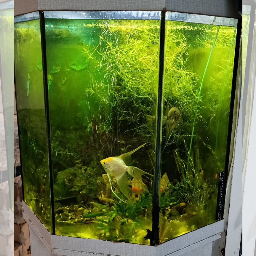 Аквариум с тумбой