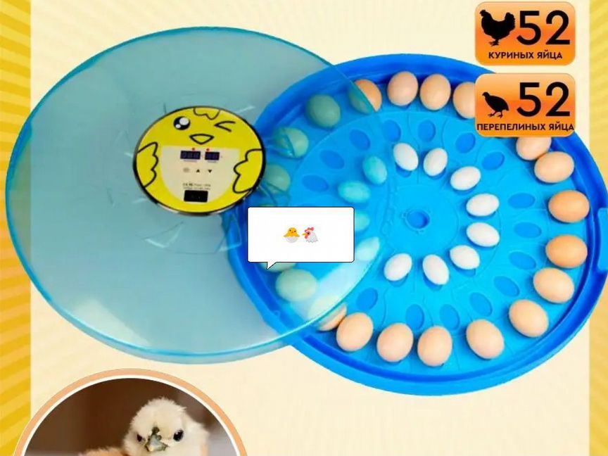 Инкубатор для яиц