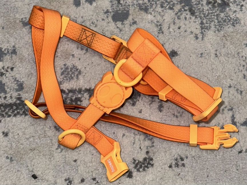 Шлейка ZEE.DOG neopro tangerine оранжевая
