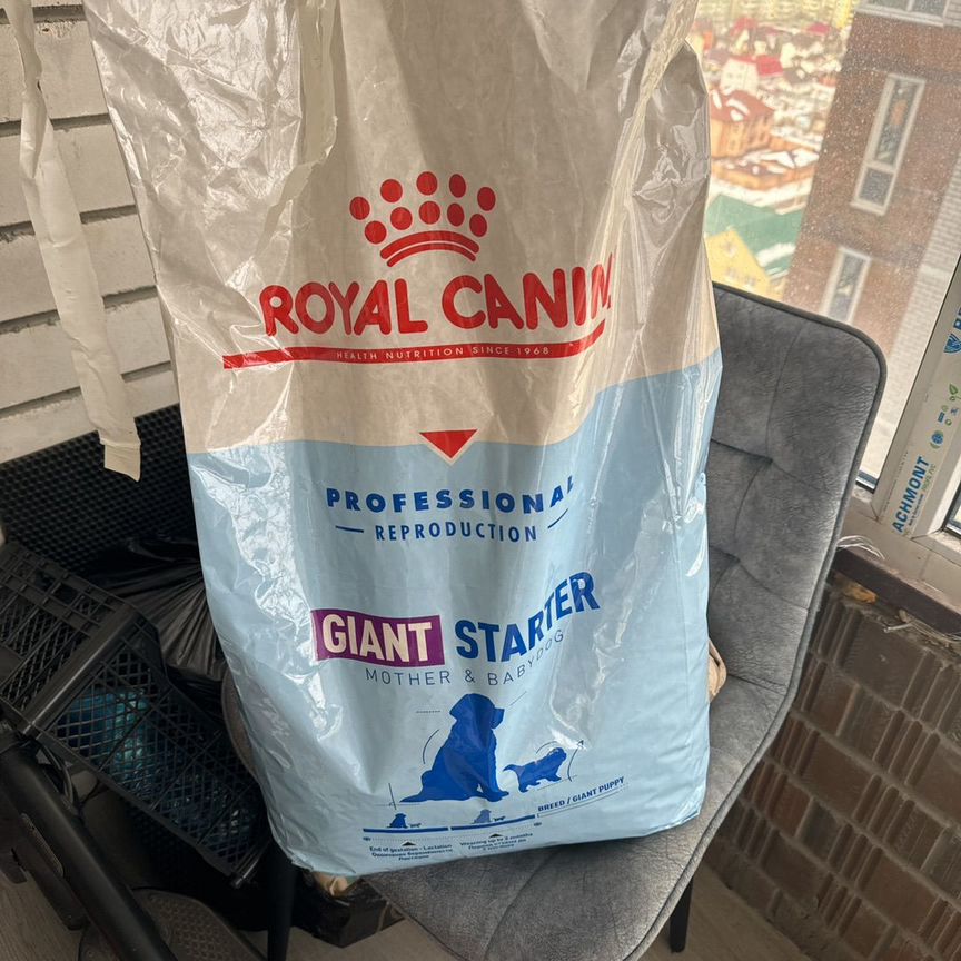 Корм для собак royal canin
