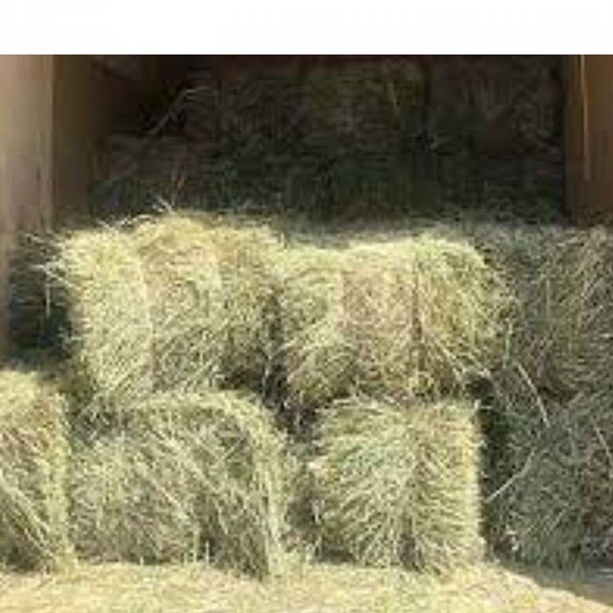 Продаётся прессованое сено в тюках