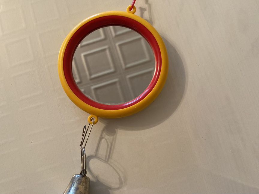 Зеркальце для попугая