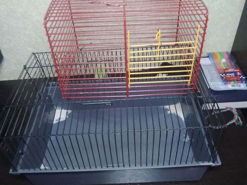 Клетка для грызунов бу со всеми пренодлежностями