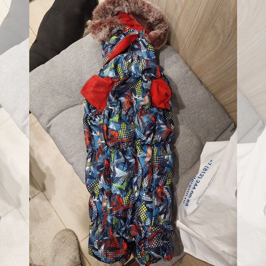 Одежда для таксы девочки, зима