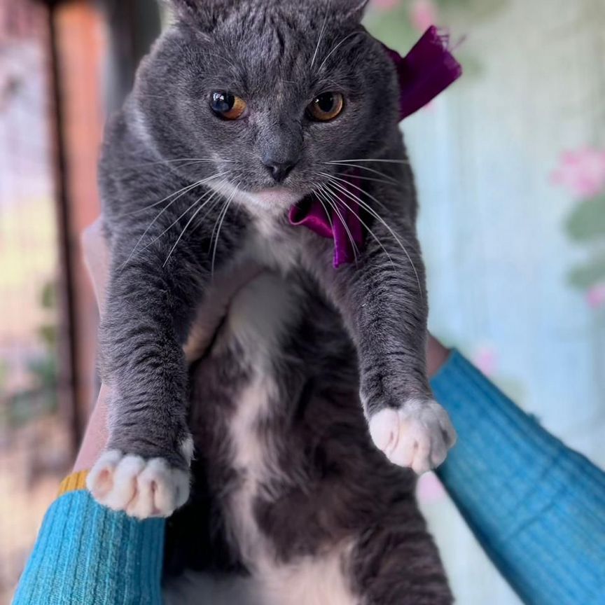 Подарите Пирату дом