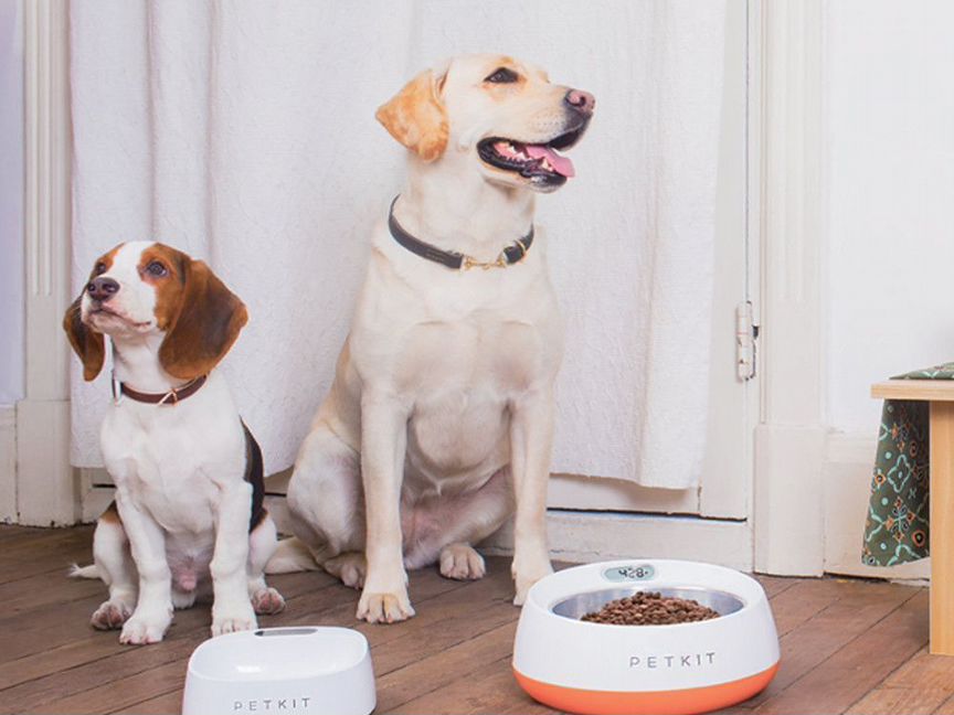 Миска-весы Xiaomi petkit Smart Weighing Bowl