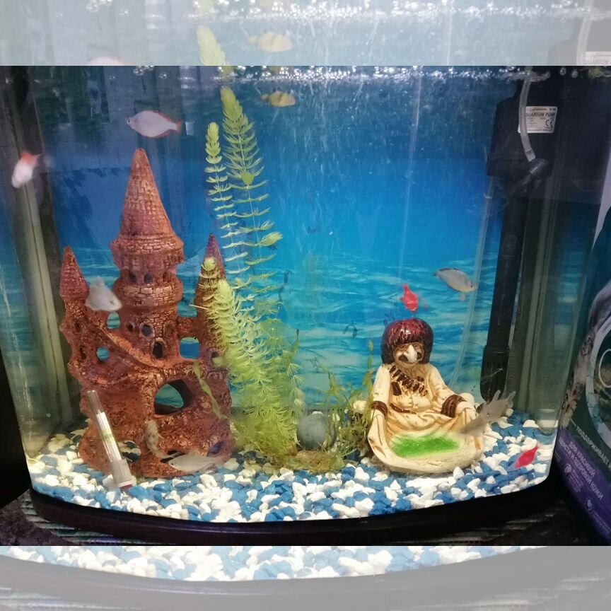 Аквариум