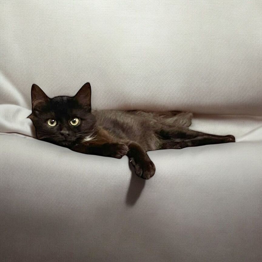 Бася ждет семью