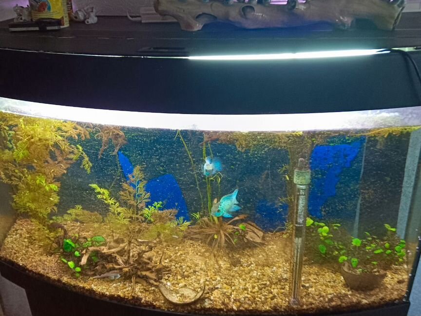 Аквариум с тумбой