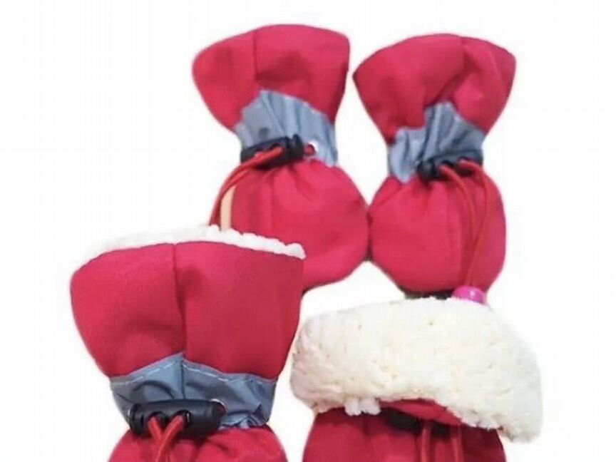 Одежда для собак