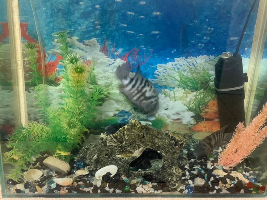 Украшение для аквариума