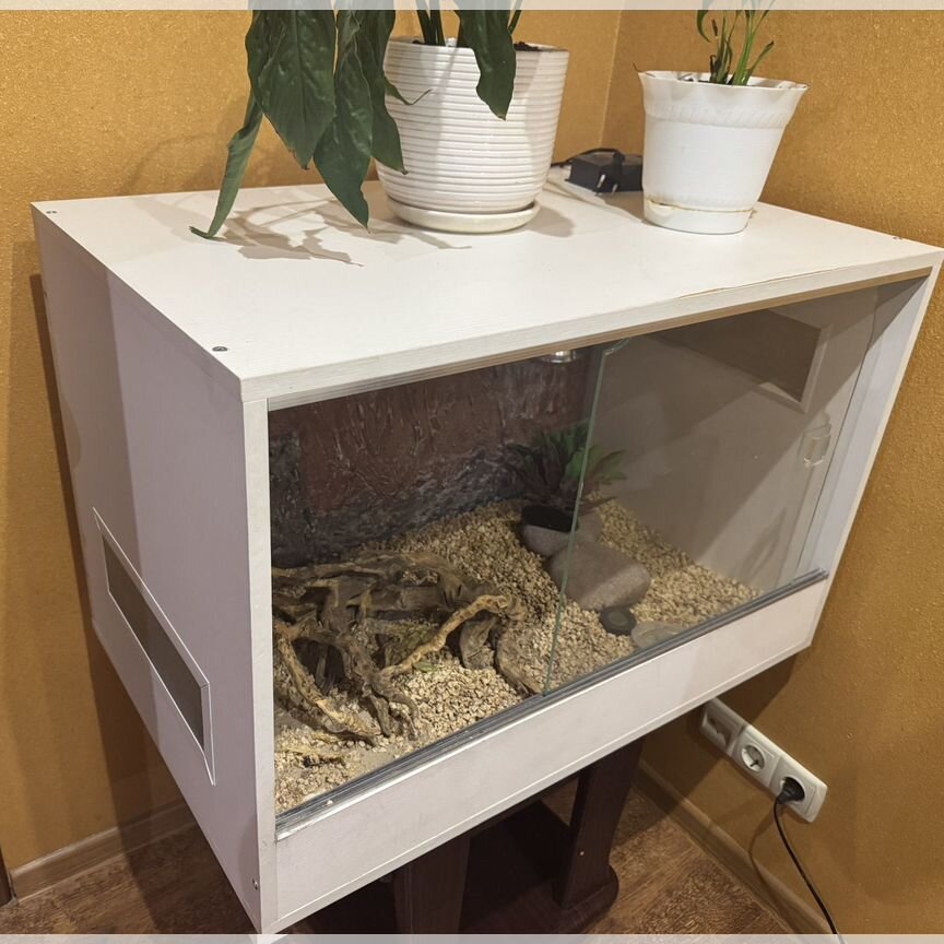 Террариум для рептилий