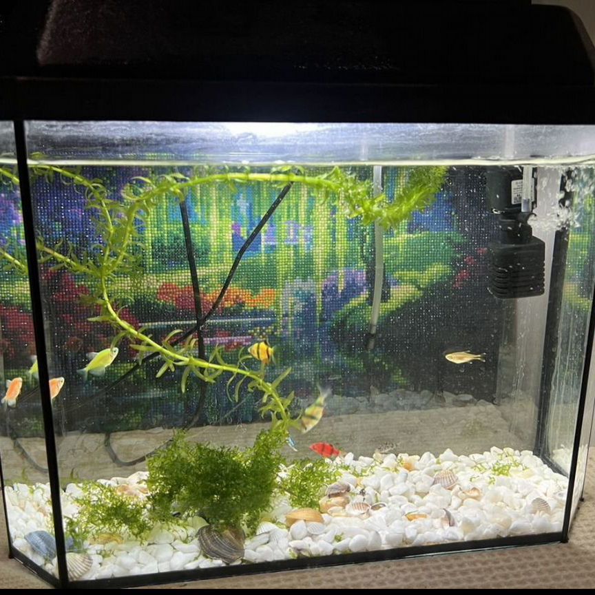 Аквариум с рыбками